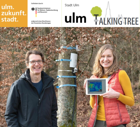 TALKING TREES | Naturmuseum